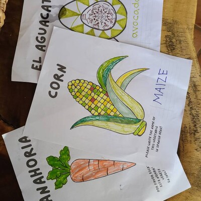 18 Printable Zoo Animal Coloring Pages: Learn Spanish,kids Coloring ...