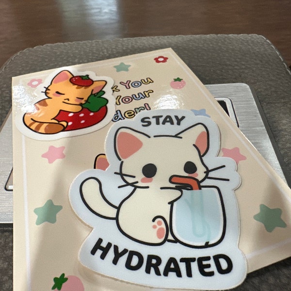 Stay Hydrated Matte Vinyl Sticker, Water Bottle Sticker, Car Decal ...