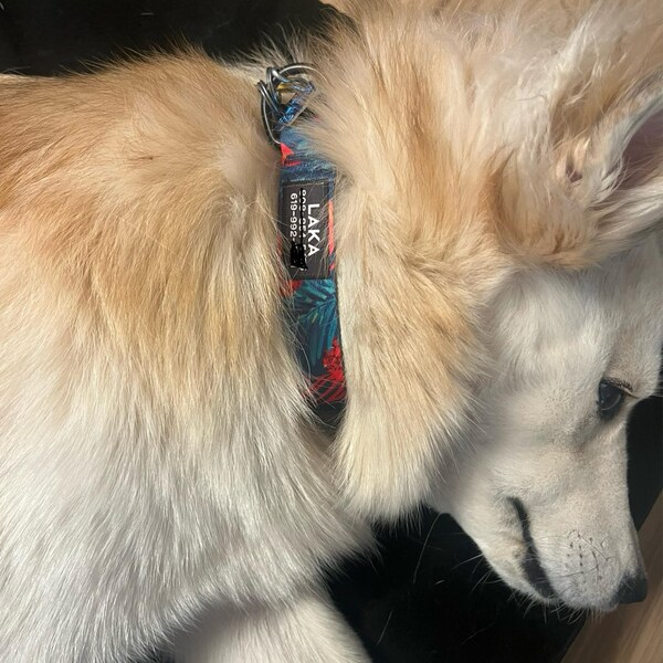 Treeline Dog Collar - Trees | Forest | Nature | Outdoors - Etsy