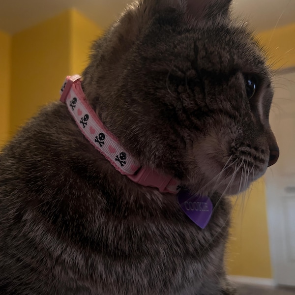 Pink Skull & Crossbones Cat or Kitten Collar - Girl Cat Collar for ...