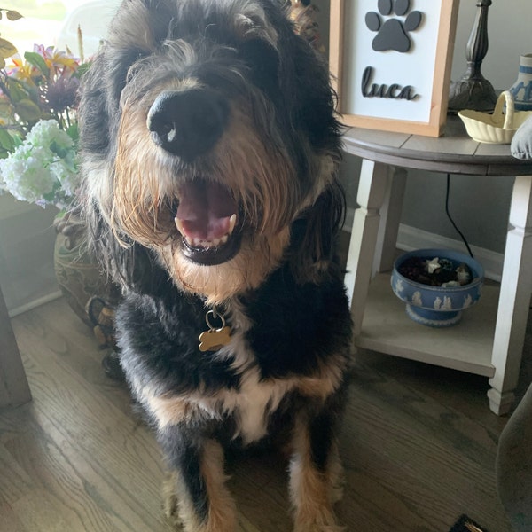 Paw Print Sign, Dog Sign, Pet Sign, Animal Sign - Etsy