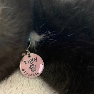 Handmade Custom Hand-stamped Dog/cat Tag the zeus Extra Small ...