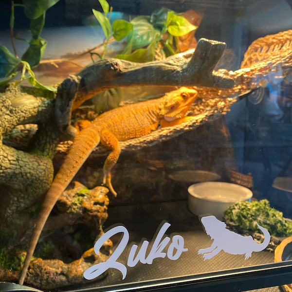 Rat Sweater for Rat Crochet Sweater for Small Pet Sweater for Fancy Rat ...