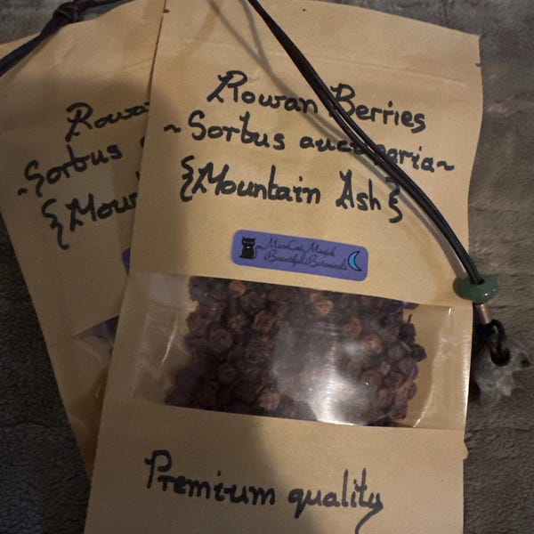 ROWAN & BLACKTHORNS Witches Ladder, Protection, Abundance, Home Warding ...