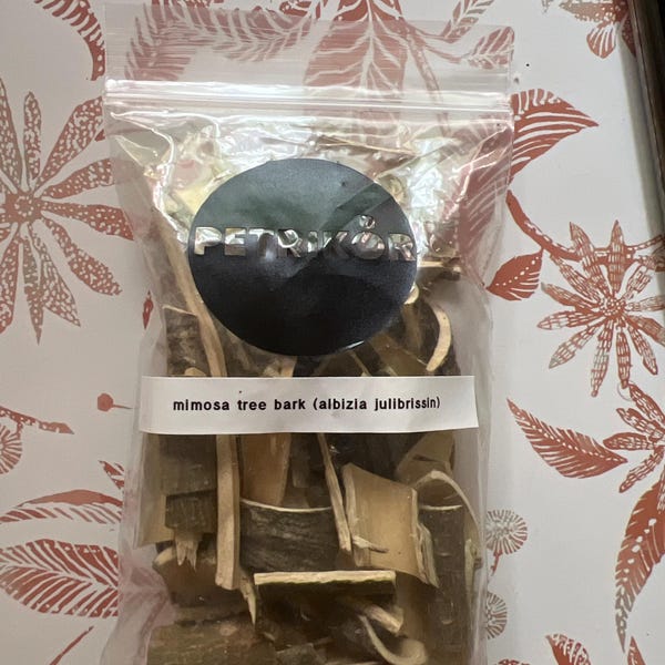 Mimosa Tree Bark (albizia Julibrissin). Mimosa Tree. Tree of Hapiness ...