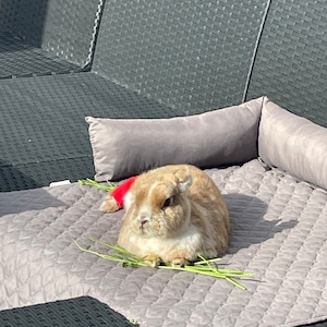 Digital Download Plans for Luxury Bunny Cubby Free Roam Rabbit Cat Home ...