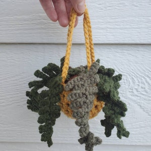 Car Fern Crochet PATTERN by Pamelambie Car Plant - Etsy
