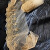 4 Inch Wide Lace Trim|scalloped Trim|gold Color Lace Trim|embroidered ...