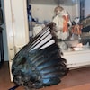 Real Crow Skull Wings Tail Feet Real Natural Carrion Rook Feathers ...