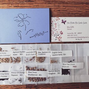 Salmon Pink Robella Bellis Flower Seeds / Perennial 50 | Etsy