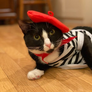 Complete French Cat Outfit Cat Beret Ascot and Striped Shirt - Etsy