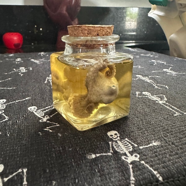 Cute Red Baby Octopus in a Jar Wet Specimen Ethically Sourced Steampunk ...
