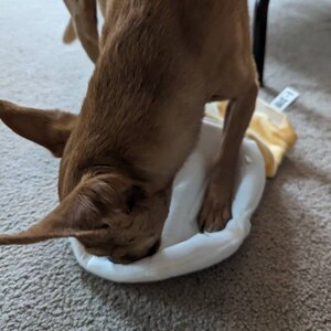 Daisy Chiffon Crop Top, XS-2XL, Dog-shirts Dog Top, Dog Clothing, Dog ...