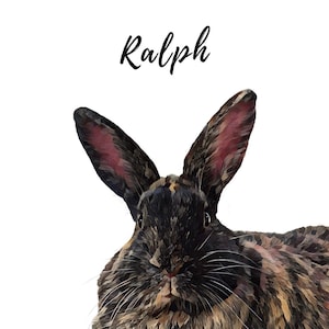 Rabbit Portrait Pet Portrait Custom Bunny Portrait Custom Dog Portrait ...