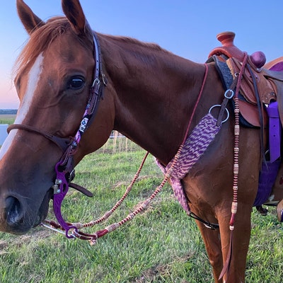 Handmade Bosal Set, 40 Plaits Rawhide Natural Bosal Set, Bosal Set ...
