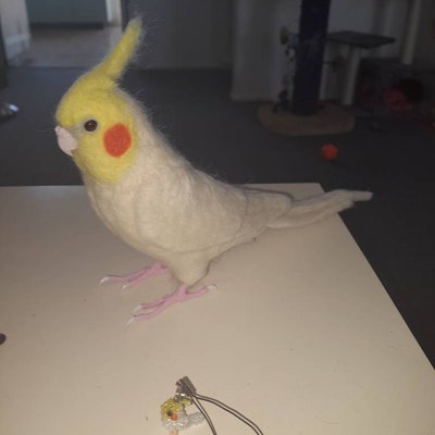 Cockatiel 1 :wool Parakeetstuffed Animals - Etsy