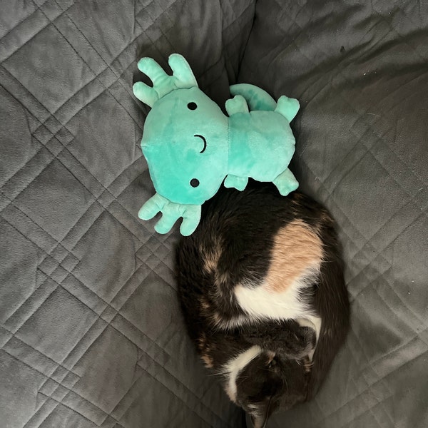 Rosie's Rules: Rosie Fuentes Plush Toy - Etsy