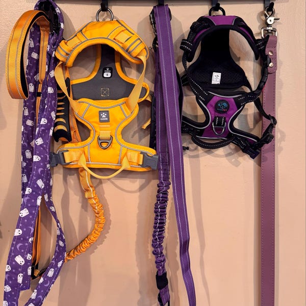 Whiskey Barrel Stave Dog Leash Hanger: Paw Print Pet Organizer - Etsy