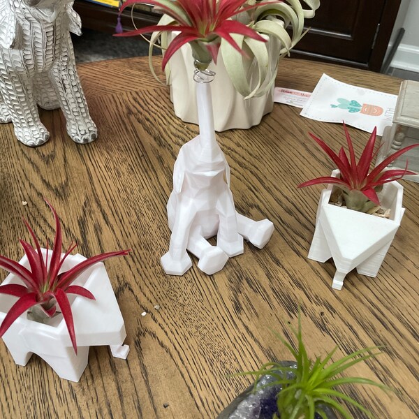 Elephant Air Plant Holder With Air Plant, 3D Print - Etsy