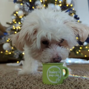 Reusable Pup Cup Custom Puppuccino Mug Dog Mom Gift 2oz - Etsy