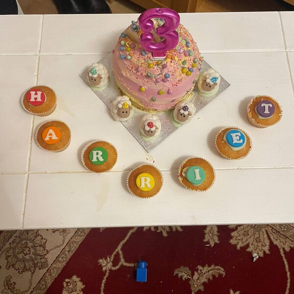 Handmade Edible Clay Pigeon, Cake Topper, Birthday, Decorating Set ...