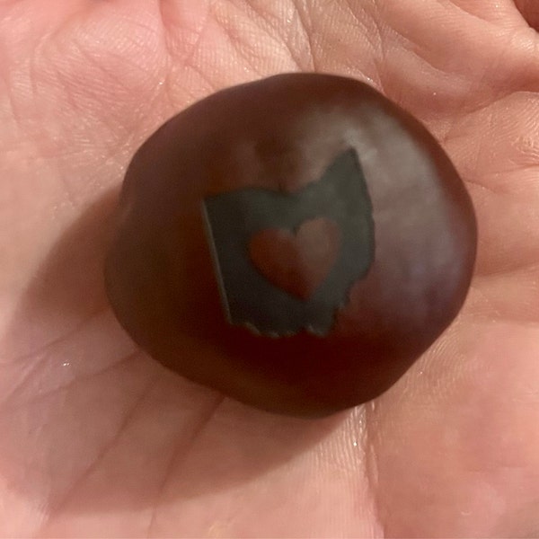 LUCKEYES - Lucky Buckeyes Buckeye Nuts From the State of Ohio for Fans ...