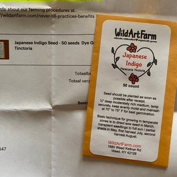 Holiday Spilanthes Buzz Button Flowers - Tingle Bells & Electric Love ...