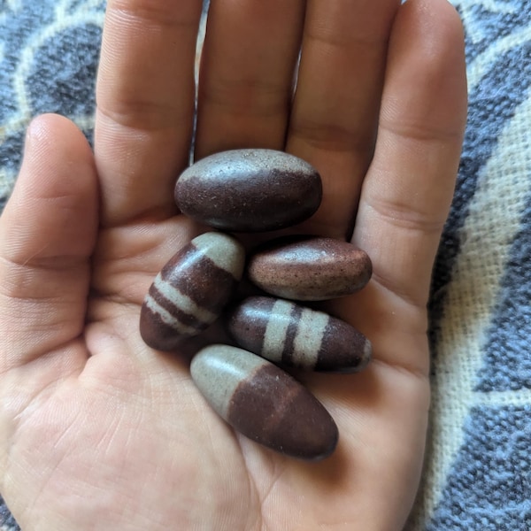 Gemstone Display Box Deluxe Kit Mixed Stones Identification Map 35 Pcs ...