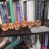 Homo Naledi Skull Replica of DH1 Find, Prehistoric Fossil Collection ...