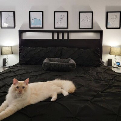 Portland Marathon Course Map Personalized Portland Marathon Route Map ...