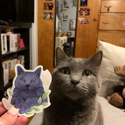 Grey Cat MAGNET Chonky Russian Blue Cat Magnet - Etsy