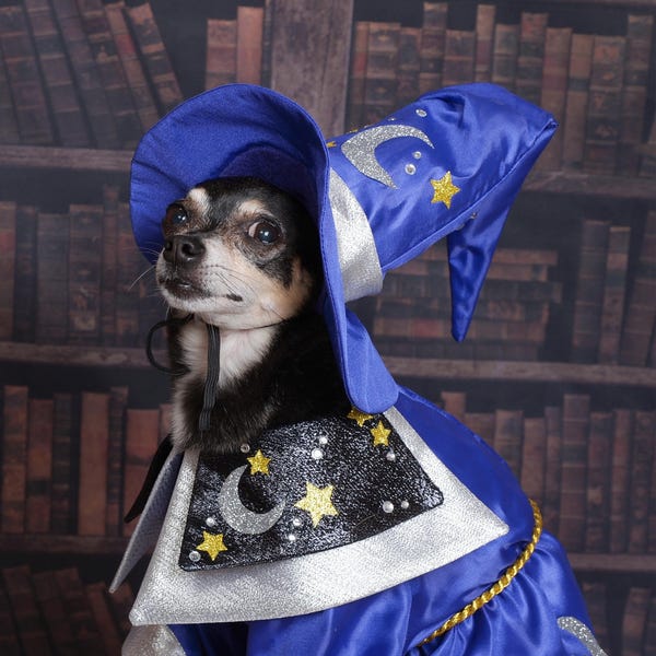 Dog Cleopatra Halloween Costume, Cleopatra Dog Costume, Puppy Cleopatra ...
