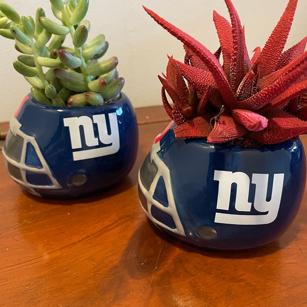 Succulent Holder SMALL, 2.5 Inches Tall College Football Helmet Miami ...