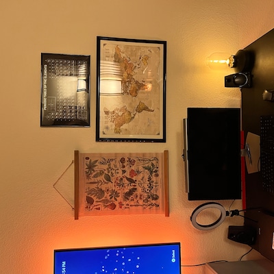 Buff-sided Robin Bird Illustration on Canvas Ready to Hang Decorative ...