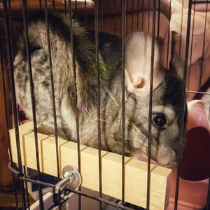 Chinchilla Hut Hideout House Free Standing House for - Etsy