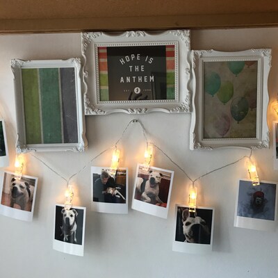 LED Clothes Peg Photo Hanger, Self Adhesive Battery Operated Display - Etsy