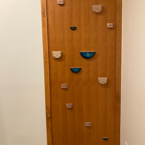 18 Piece Starter Climbing Set - Large/medium Climbing Holds for Rock ...