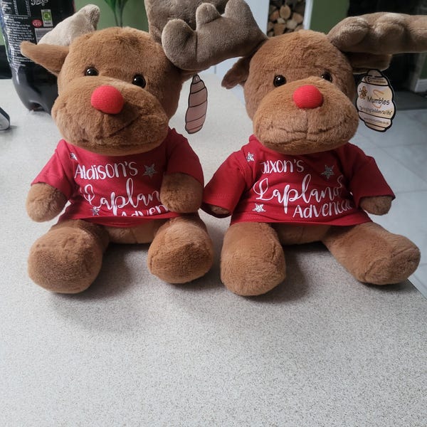 Lapland Hoodie, Lapland Reveal, Lapland, Christmas Hoodies, Girls ...