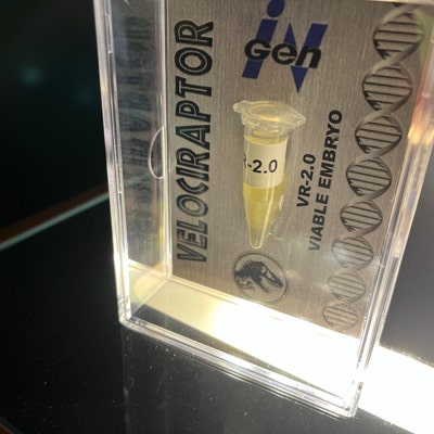 Velociraptor DNA Embryo Jurassic Park Prop Replica - Etsy