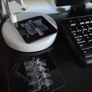 Human Anatomy Drink Coasters Medical Gift Med Student Graduation ...