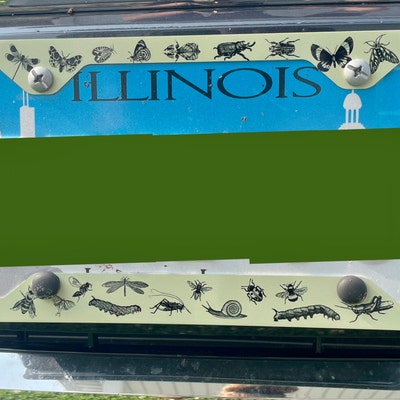 License Plate Frame Country Toads Take Me Home Funny License - Etsy