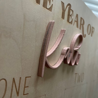 One Year of Board, 12 Months Of, Daisy One Year Board, Photography Prop ...