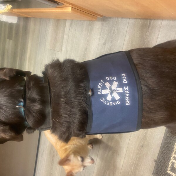 Emotional Support Cat Vest - Etsy