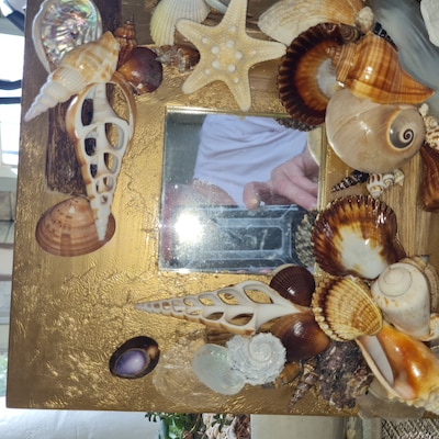 Purple Top Serpent Head Cowrie Seashells 3/4 1' 10 Pieces - Etsy