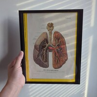 1958 Vintage World Map - Etsy