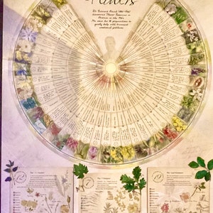 Bach Flower Poster Wall Chart for the 38 Essences. A1 - Etsy