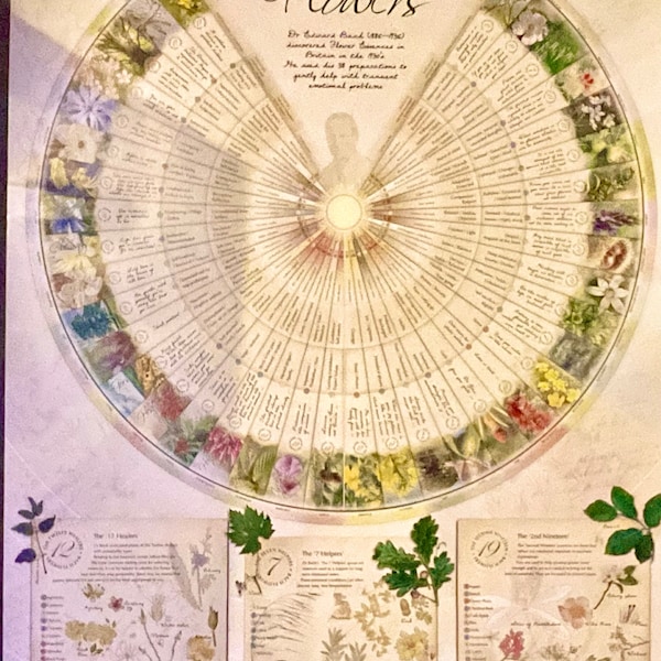 Bach Flower Poster Wall Chart for the 38 Essences. A1 - Etsy