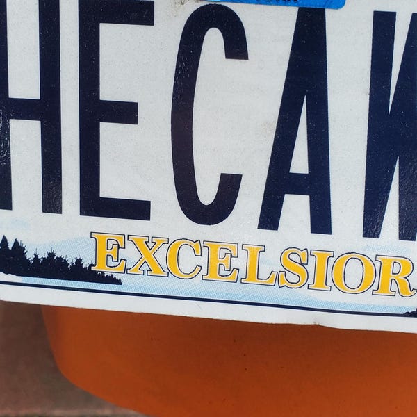 2 Metal License Plate Custom Bolts,middle Finger,flip Off,screw ...