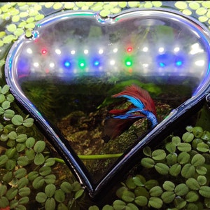 Aquaneat LED Light Riser, Attractive Stable Elevated Stand, Quality LED ...