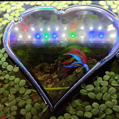 Nicrew Skyled Light Stand 2 Wide Base LED Riser, Fish Tank Light Lift ...